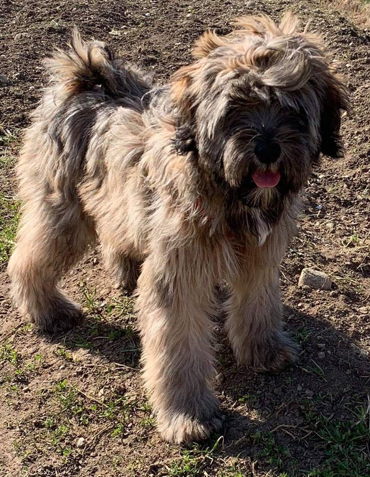 Don, Dami, Lhari, Yang, Levi, Mo, RumiRue, Kama, Kely, Yishin, Thor, Tigi, Duda ♡ – Sems Kyi Bu ...